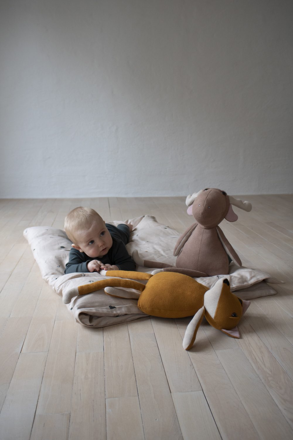 Teddy - Milo the moose brownie | Shop online hos - FILIBABBA